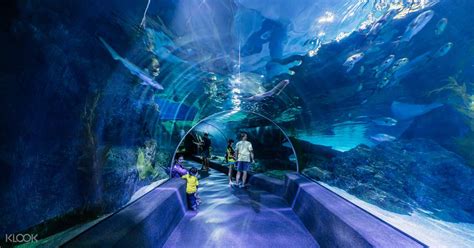 Sea Life Bangkok Ocean World Tickets Siam Ocean World Klook