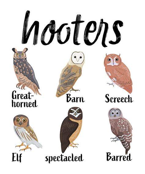 Hooters Owl Birds Funny Wildlife T Digital Art By Qwerty Designs