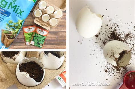 Grow Your Own Herbs Egg Shell Seed Starters Craft Create Cook