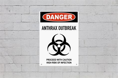 Anthrax Causes Treatments And Risks