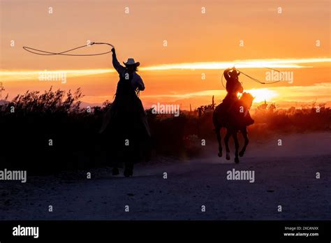 Female Ranch Hands Or Cowgirls Riding Horses In The Sunset On A Ranch