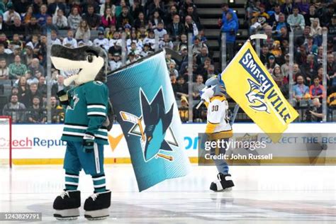 827 San Jose Sharks Mascot Photos And High Res Pictures Getty Images