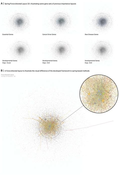 Force Directed Layout Of The Interactome A Layouts With Different