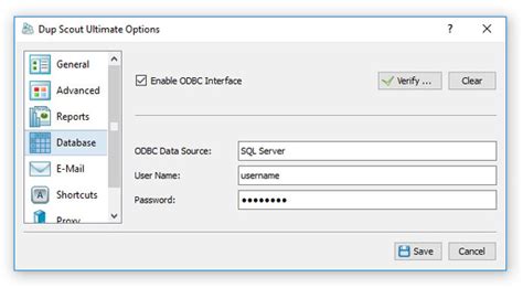 dupscout duplicate files finder exporting reports to an sql database