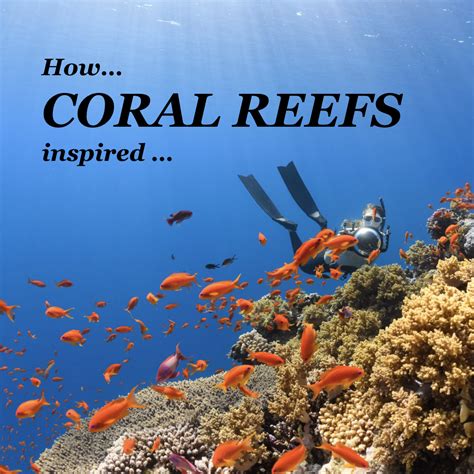 The Best Biomimicry Examples In Biology