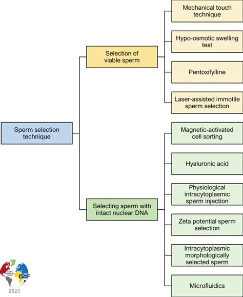 Sperm Preparation And Sperm Selection Techniques Springerlink