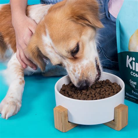 Dr Shibas Kind Kibble Balanced And Complete Daily Nutrition For Dogs