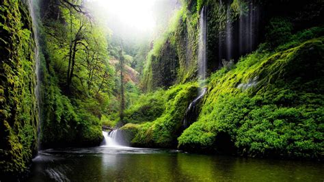Nature Wallpaper Laptop 4k
