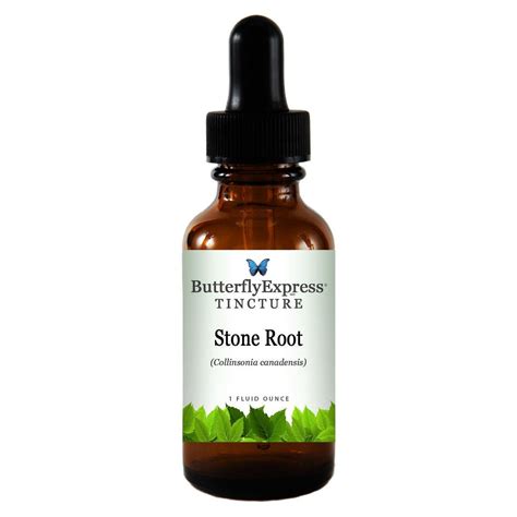 Stone Root Tincture