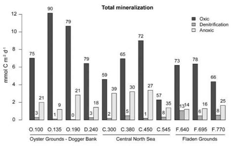 Model Derived C Mineralization Rates For Oxic Mineralization