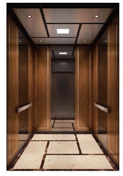 Eac Certificate Passenger Elevator With Machine Room Home Elevator Lift