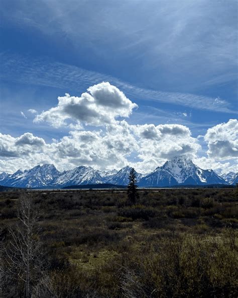 Western Elements In Design Kit Kemp Design Studio