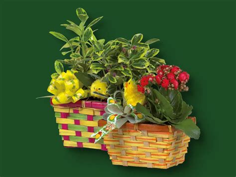 Osterkorb Korb Von Lidl Ansehen