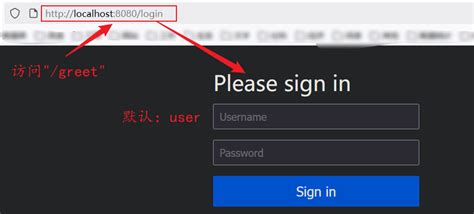 Spring Security入门详细教程（一）基础与csrf 知乎