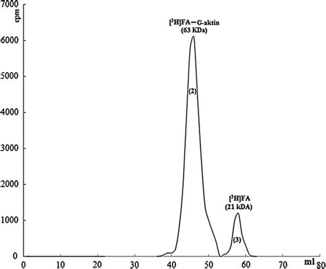 Chromatographic Display Of ınteraction Of G Actin And Download Scientific Diagram