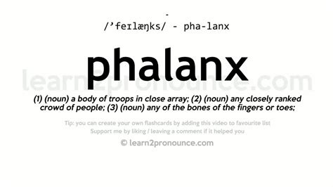 Pronunciation Of Phalanx Definition Of Phalanx Youtube