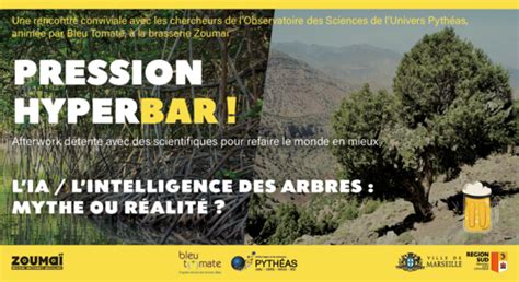 Pression Hyperbar Lia Lintelligence Des Arbres Mythe Ou Réalité Echosciences Sud