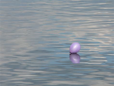 Balloon Detection Object Detection Model By Mini Guardian