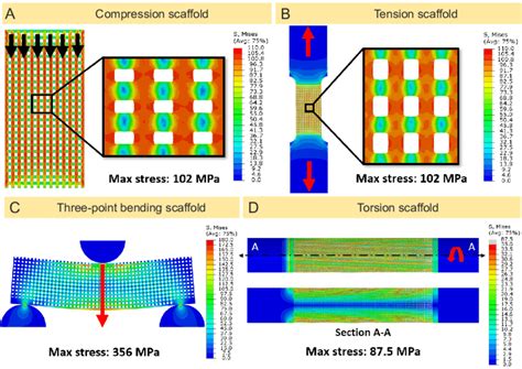 A D Section View Of Finite Element Model Results Of Compression A