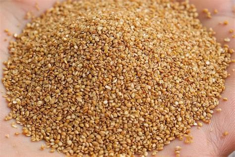 Afeem Seed Flavor Profile Health Benefits And Cooking Guide