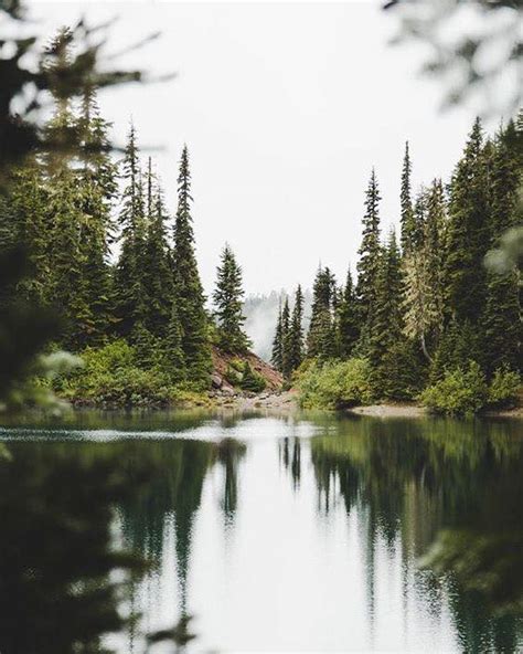 Asexual Aces Image Description Screenshot Of Tumblr Post Joshua Of