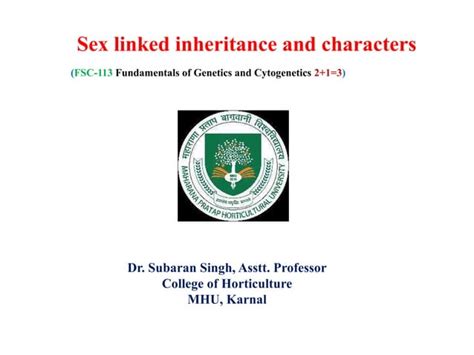 4b Sex Linked Inheritance And Characters Pptx