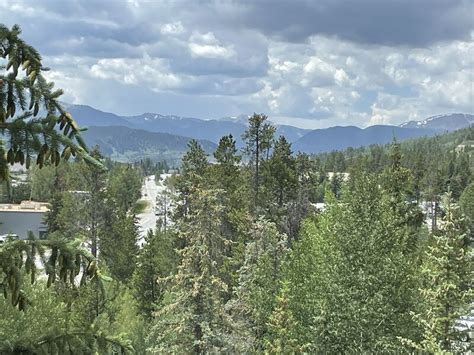 Nnps24 Larry Stoddard