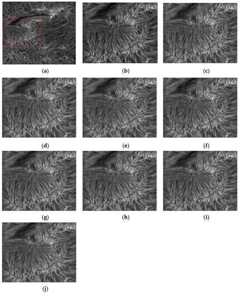 Sensors Free Full Text Cmos Fixed Pattern Noise Elimination Based On Sparse Unidirectional