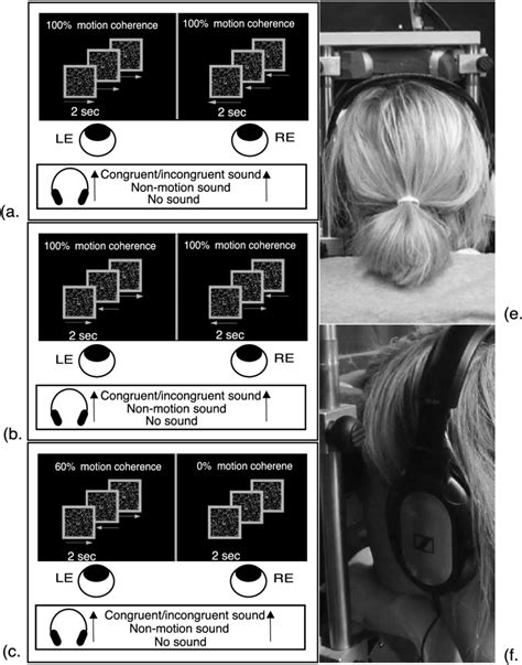 Experimental Paradigm Stimuli And Setup A Experiment 1 The Two