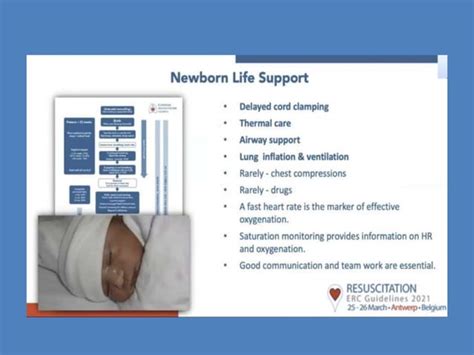 Neonatal Life Support Pptx