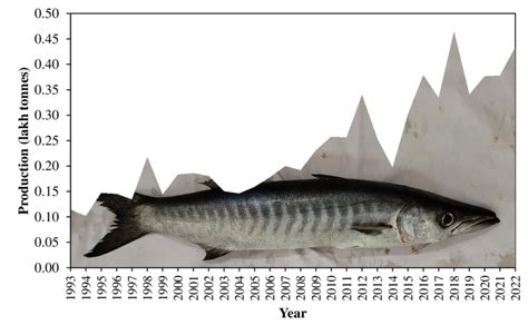 Three Decadal Landing Trends Of Barracuda Along The Indian Coast