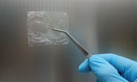 Tissue Engineered Craft Bioinnovation Research Group