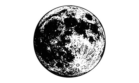 Detailed Black And White Moon Illustration With Craters And Texture