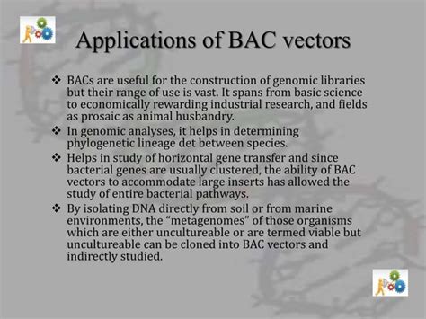 Artificial Chromosomes Yac And Bac Pptx Genetics Science