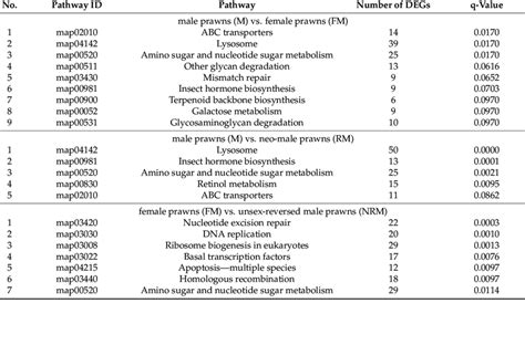 Differentially Expressed Pathways Of Three Comparison Libraries Download Scientific Diagram