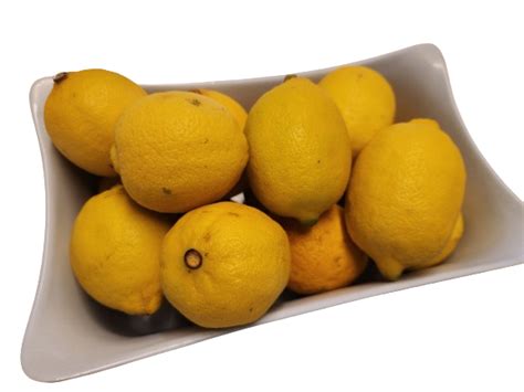 Citroner Kubertsfiskdk