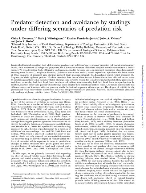Pdf Predator Detection And Avoidance By Starlings Under Differing