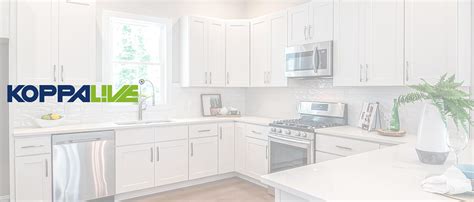 Koppalive 5 Pack Solid Brass Kitchen Cabinet Knobs Modern Gold Drawer