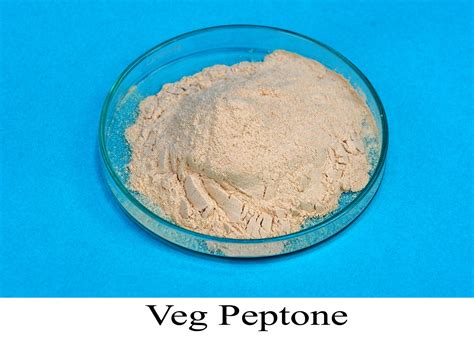 Veg Peptone Chaitanya Group Of Industries