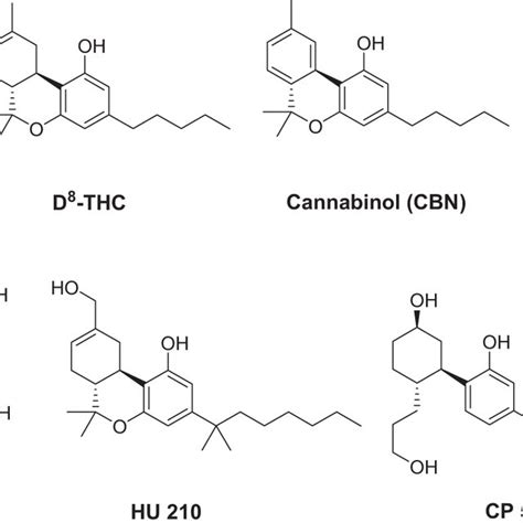 Structures Of Various Natural And Synthetic Cannabinoid Ligands