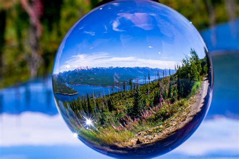 Glass Ball Photography Photography Reference