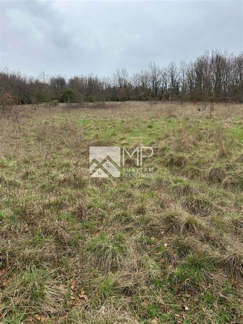 Istra Krnica Prilika