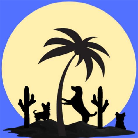 Desert Dog Oasis Youtube