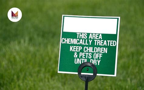 Best Lawn Fertilizer Companies Near Me For Denver Yard 2026