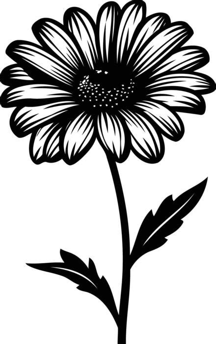 Daisy Grayscale Vector Art Icons And Graphics For Free Download