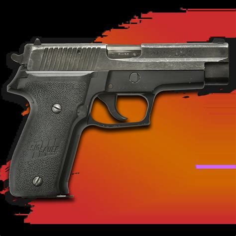 Sig Sauer P226 Budapest Shooting