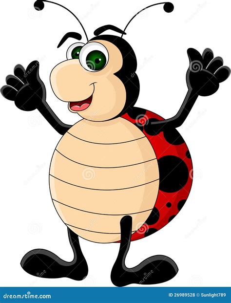 Funny Ladybugs Vector Illustration Isolated Coloring Pages For