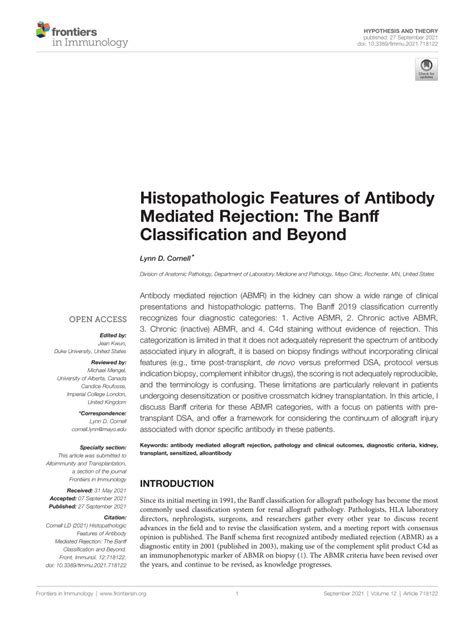 Pdf Histopathologic Features Of Antibody Mediated Rejection The