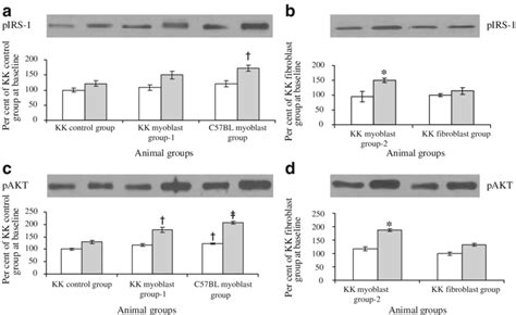 How To Graph Western Blot Data At Edwin Dryer Blog
