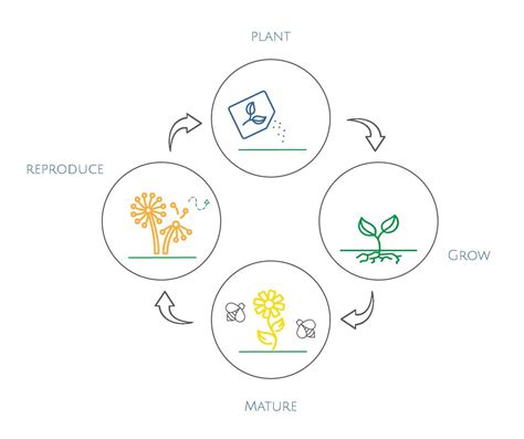 Discipleship Pathway — First United Methodist Church Of Jefferson City